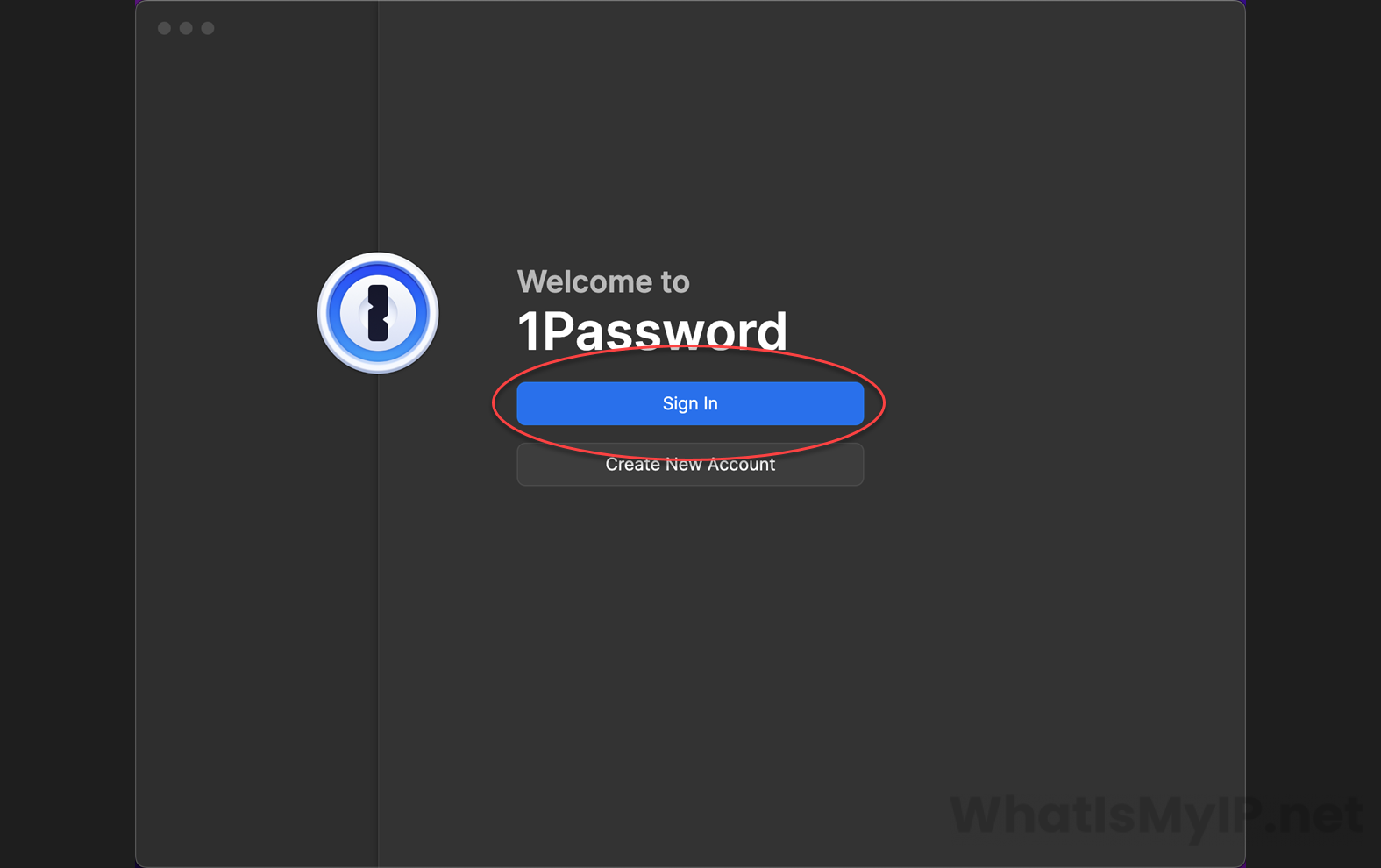 Password Management: A Complete Guide to 1Password Setup and Usage